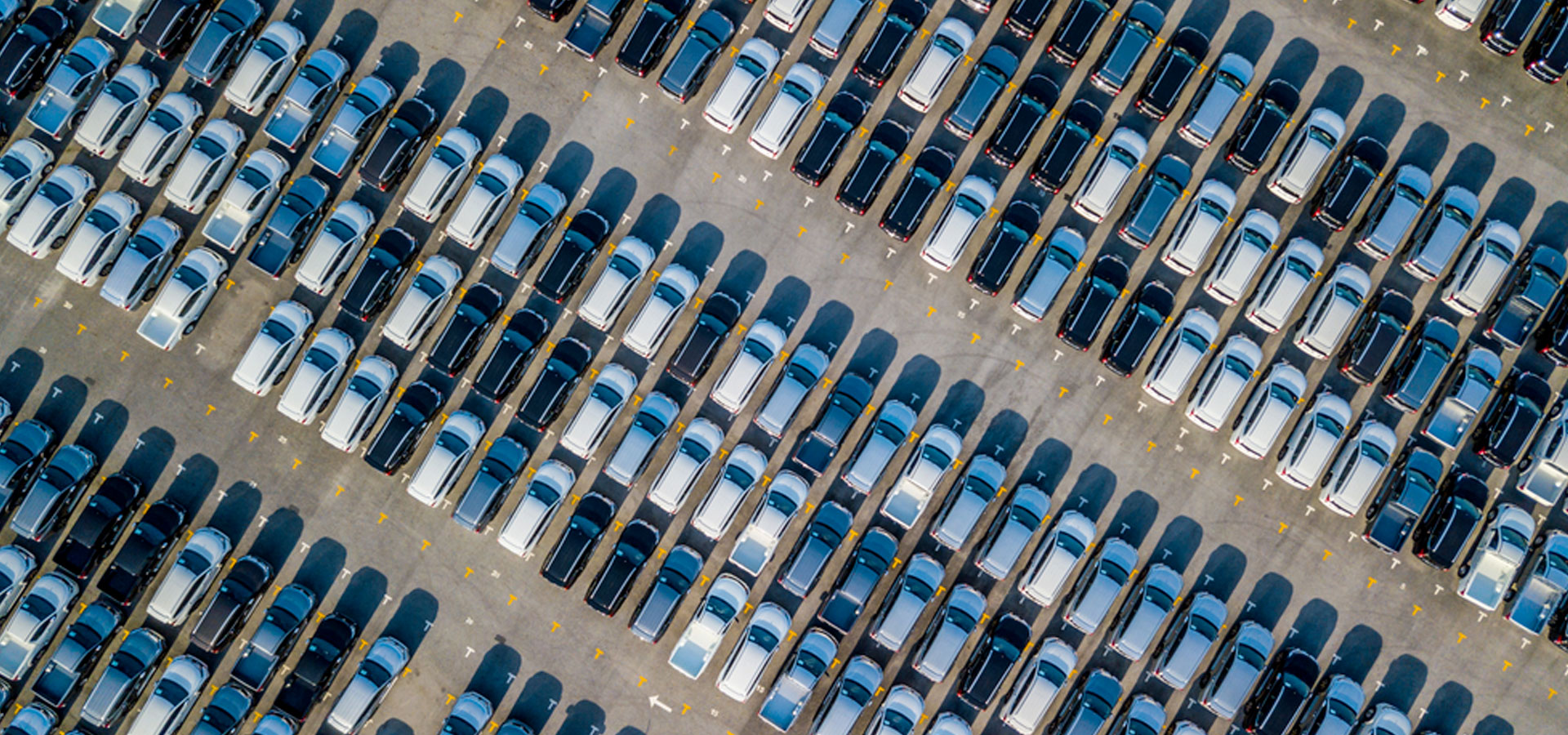 Le parc automobile Drive4You - Spécialiste du transport adapté en France